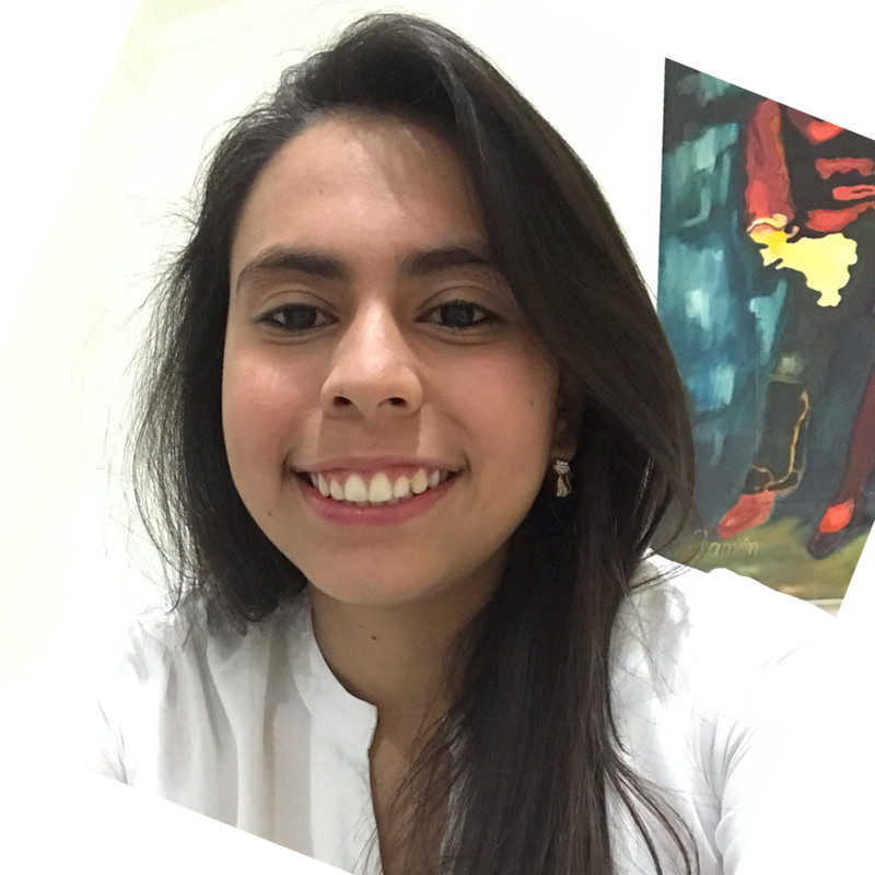 CV Laura Silva Website